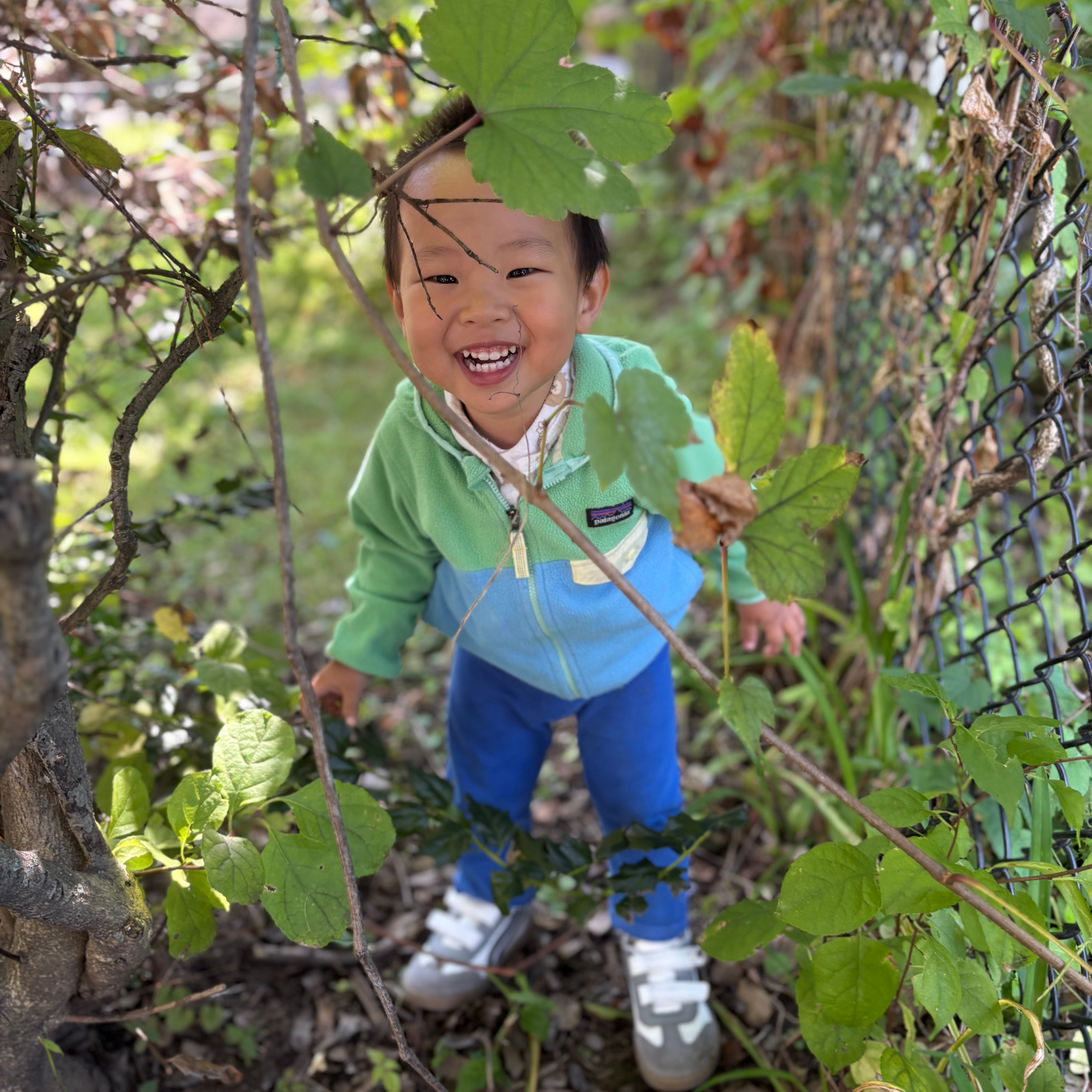 Early Learning Summer Program (6 months - 3 Years)